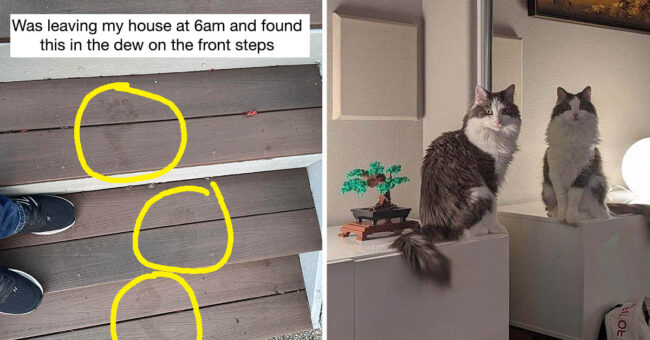 30 Oddly Terrifying Pictures That Keep Getting Creepier The Longer You ...