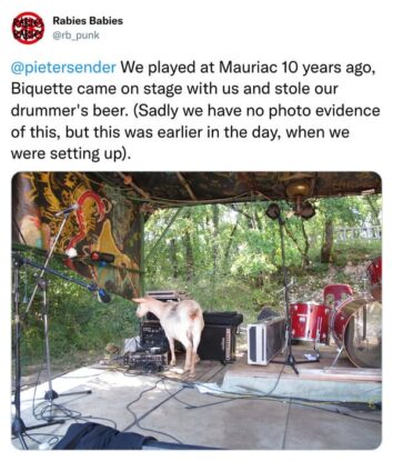 Biquette The Punk Rock Goat — A Twitter Thread