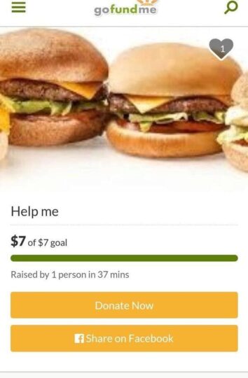 25 Ridiculous Gofundme Campaigns We Can't Believe Got A Single Cent