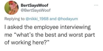 Twitter Users Share Creative Ways To "Interview The Company" During A ...