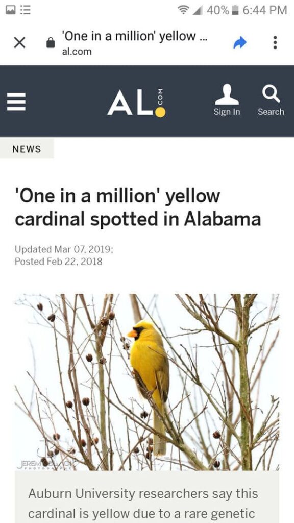 People Are Sharing Found Things That Are Shockingly A Different Color ...