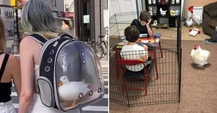 Humans Are Weird And There's A Whole Facebook Group Dedicated To It (30 ...