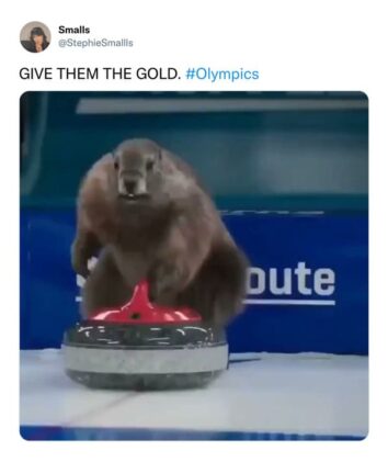 30 Winter Olympics Memes That Deserve A Gold Medal
