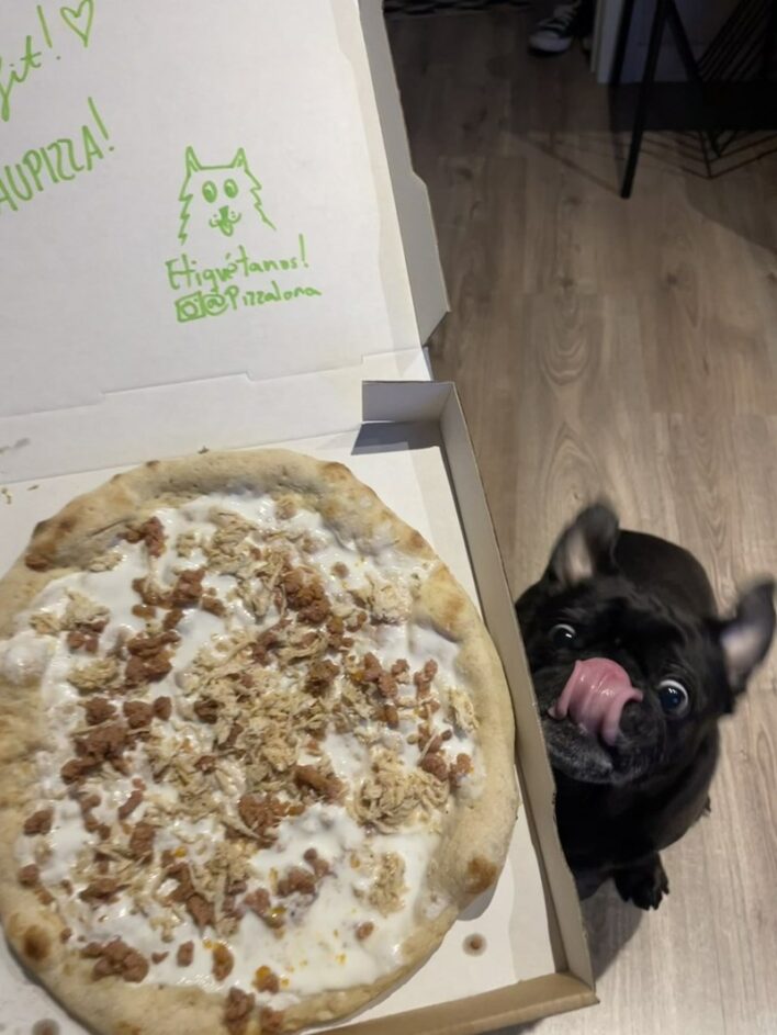 This Restaurant Has A Charity Making Pizzas For Dogs — A Twitter Thread