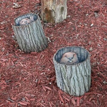 Artist Creates Street Art Using Chalk And Random Objects As Inspiration ...