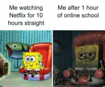 You Don't Need Someone's Password To Enjoy these Funny Netflix Memes ...
