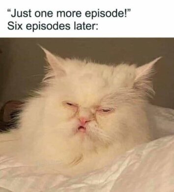 You Don't Need Someone's Password To Enjoy these Funny Netflix Memes ...