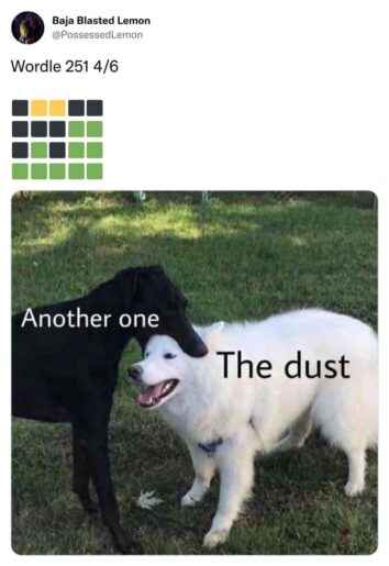 Still Cracking » Daily Dose Of HumorAnother Round Of Wordle Memes ...