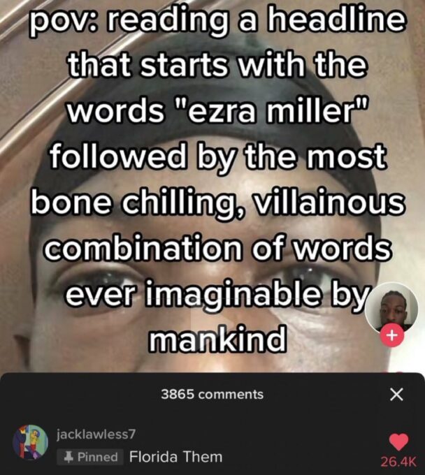 30 Bizarrely Hilarious TikTok Comments As Immortalized By This Popular ...