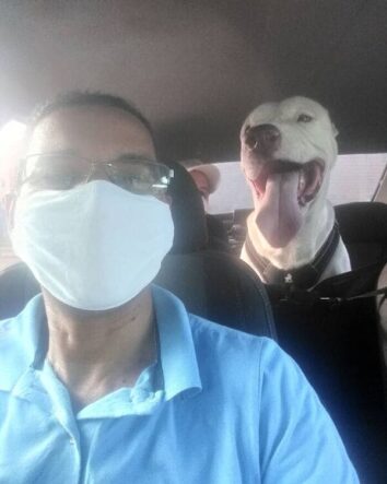 Pet Taxi Driver Takes Great Selfies With All Of His Furry Passengers ...