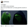 50 Funny Taco Bell Memes The Prove "Living Mas" Is A Way Of Life