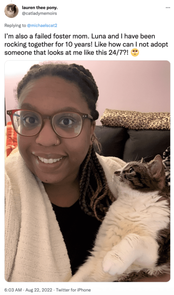 Wholesome Thread Has Feline Owners Sharing Pics Of Foster Cats That ...