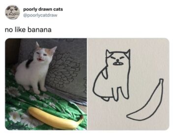 25 "Poorly Drawn Cats" That Are Somehow Better Than The Actual Picture