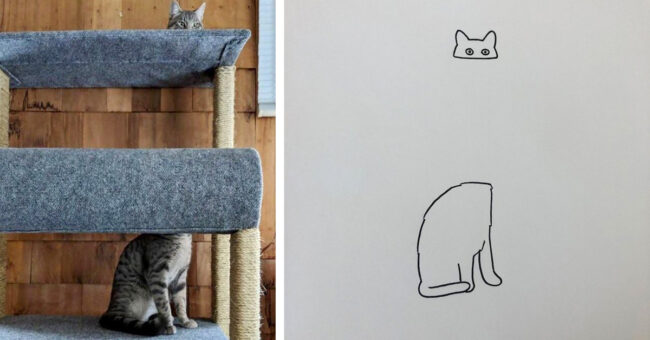 25 "Poorly Drawn Cats" That Are Somehow Better Than The Actual Picture