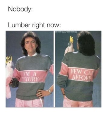 30 Funny Home Renovation Memes You'll Finish Laughing At Before You ...