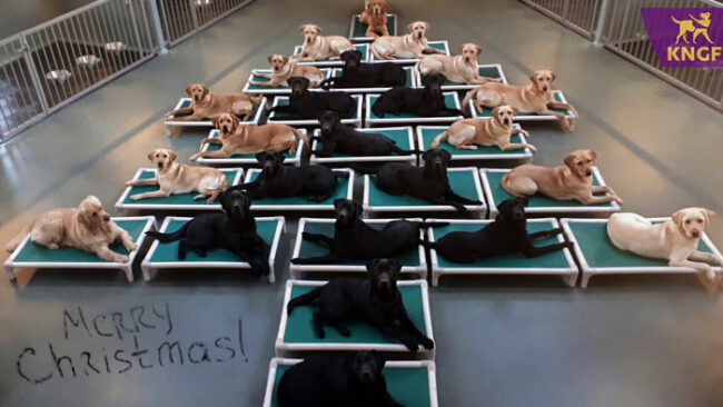 30 Employees Who Are Decorating Their Workplaces With Hilariously ...