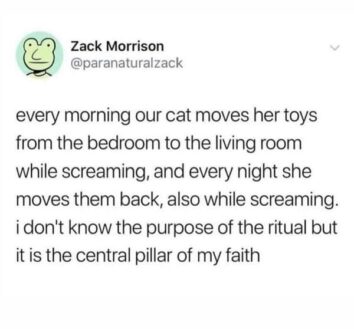 50 Hilarious Viral Tweets From A Very Busy Week On Twitter