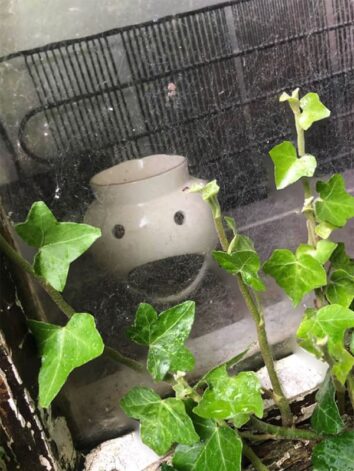 Pareidolia Makes The Human Brain See Faces Everywhere (22 Examples)