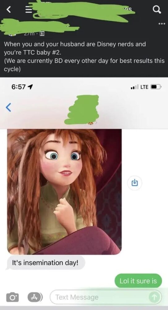 13 Disney Adults Who Took Their Obsession To A Whole New Level