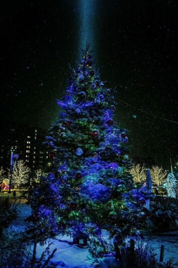 50 Fancy Christmas Trees That Would Even Make A Mall Santa Do A Double Take