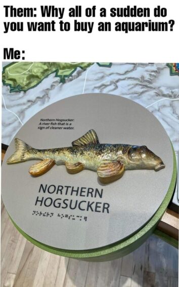 A Random Assortment Of Bad Memes (40+ Memes)