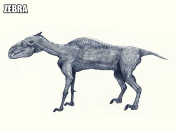 Modern Animals Drawn As Dinosaurs Are Hardly Recognizable