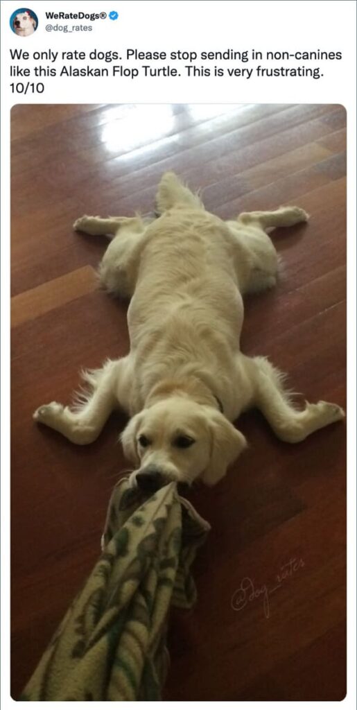 22 People Who Failed To Send Dog Pics To ‘We Rate Dogs’ Twitter