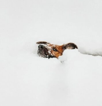 45 Crazy Pictures Of The Freezing Cold That Prove Winter Is A Force To ...