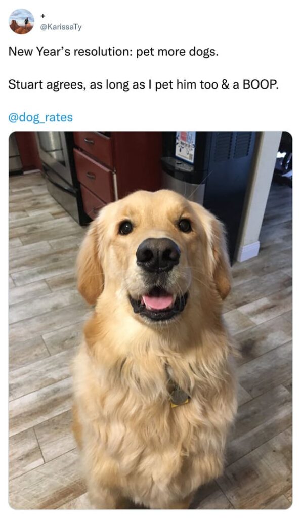 50 Funny Tweets About New Year's Resolutions And The Relatable Struggle ...