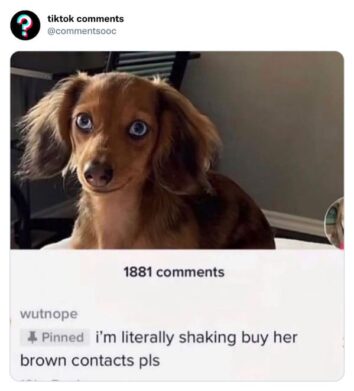 25 Funny TikTok Comments That Outshined The Video Itself