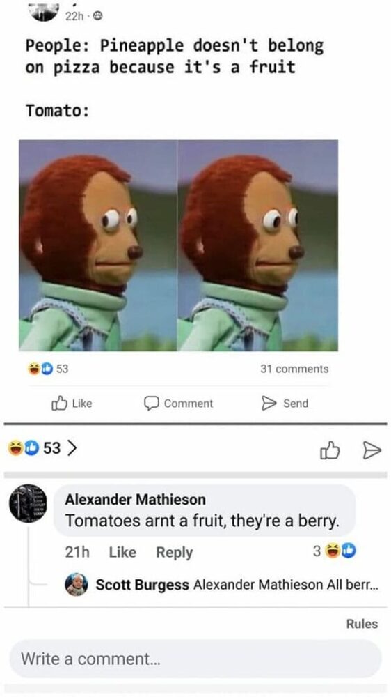 45 People Incorrectly Correcting Other People Online And Getting ...