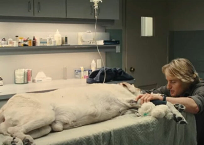 40 Fictional Characters Whose Deaths Many Of Us Never Got Over