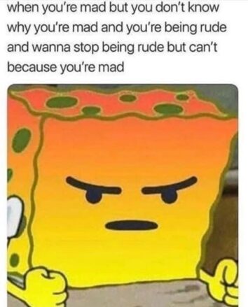 Monday Is The Perfect Day For Angry Memes (25 Memes)