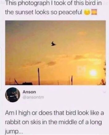 40 Hilariously Awkward That Made Us Feel Secondhand Embarrassment This ...