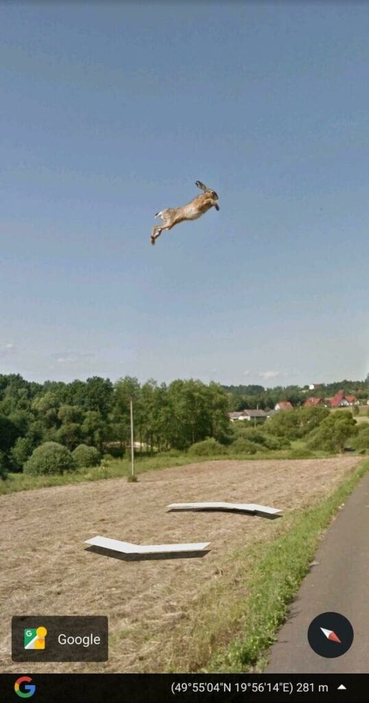 25 Google Maps Oddities People Have Stumbled Upon
