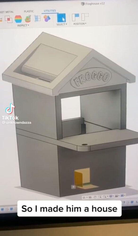 TikToker Goes Viral After Building Elaborate Frog House Complete With A ...
