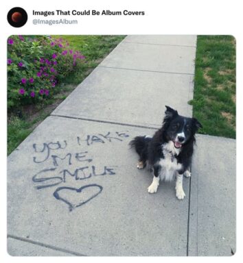 25 Images That Could Be Album Covers As Shared By This Twitter Account