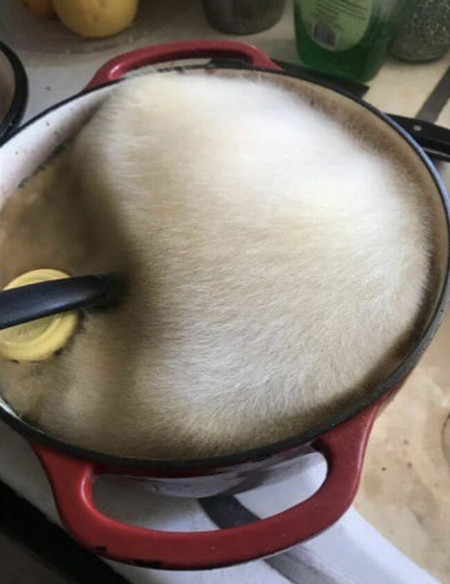 "I'm Gonna Need An Explanation For This Image Please" — 25 Hilarious ...