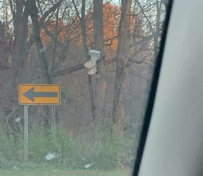 "I'm Gonna Need An Explanation For This Image Please" — 25 Hilarious ...