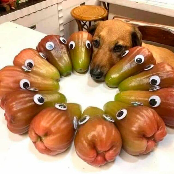 "I'm Gonna Need An Explanation For This Image Please" — 25 Hilarious ...