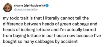 Twitter Users Are Sharing Their Funny "Toxic Traits" (23 Memes)