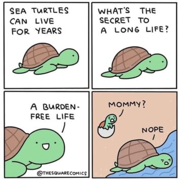 40 Funny But Darkly Inappropriate Comics That'll Made Us Feel A Little ...