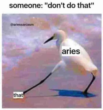30 Aries Season Memes For The Confident And Assertive Rams Of The Zodiac