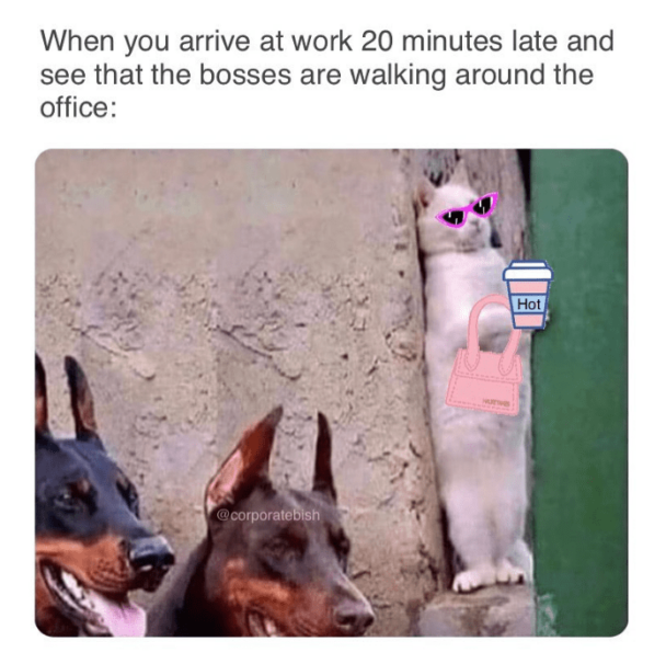 19 Work Memes For Anyone Who Gave 60% Effort (At Best) This Week