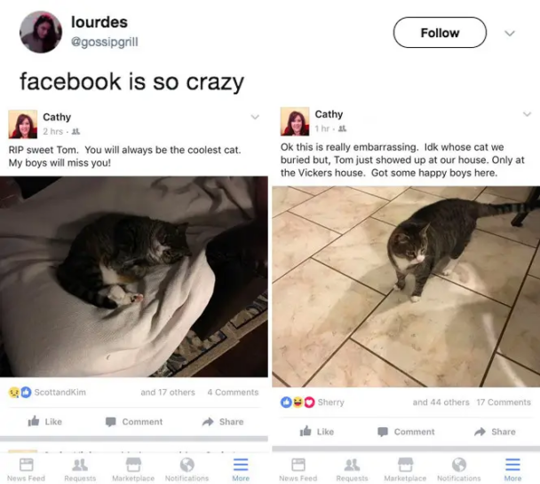 37 Funniest Facebook Posts People Say They've Ever Come Across