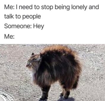 30 Funny Struggle Memes For Anyone Going Through It