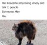 30 Funny Struggle Memes For Anyone Going Through It