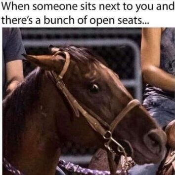 30 Funny Struggle Memes For Anyone Going Through It