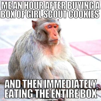 25 Girl Scout Cookie Memes That Hit The Spot This Week