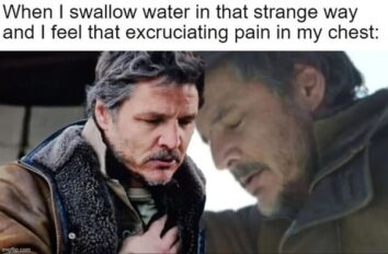 Pedro Pascal Memes Are As Good As The Shows He Stars In (20 Memes)